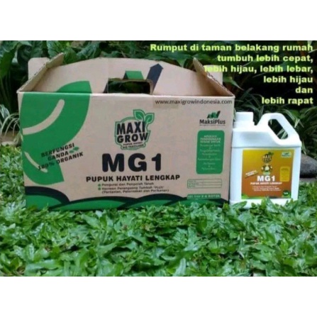 Jual Maxi grow pupuk hayati/MG1/isi kemasan 1 liter original menekan ...