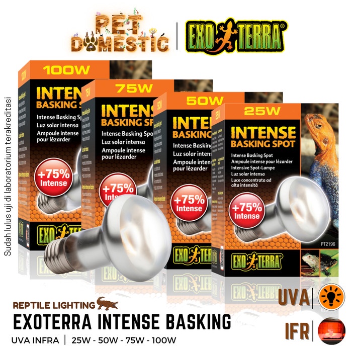 Jual LAMPU UVA EXOTERRA INTENSE BASKING PENGHANGAT REPTIL SULCATA TORTO | Shopee Indonesia
