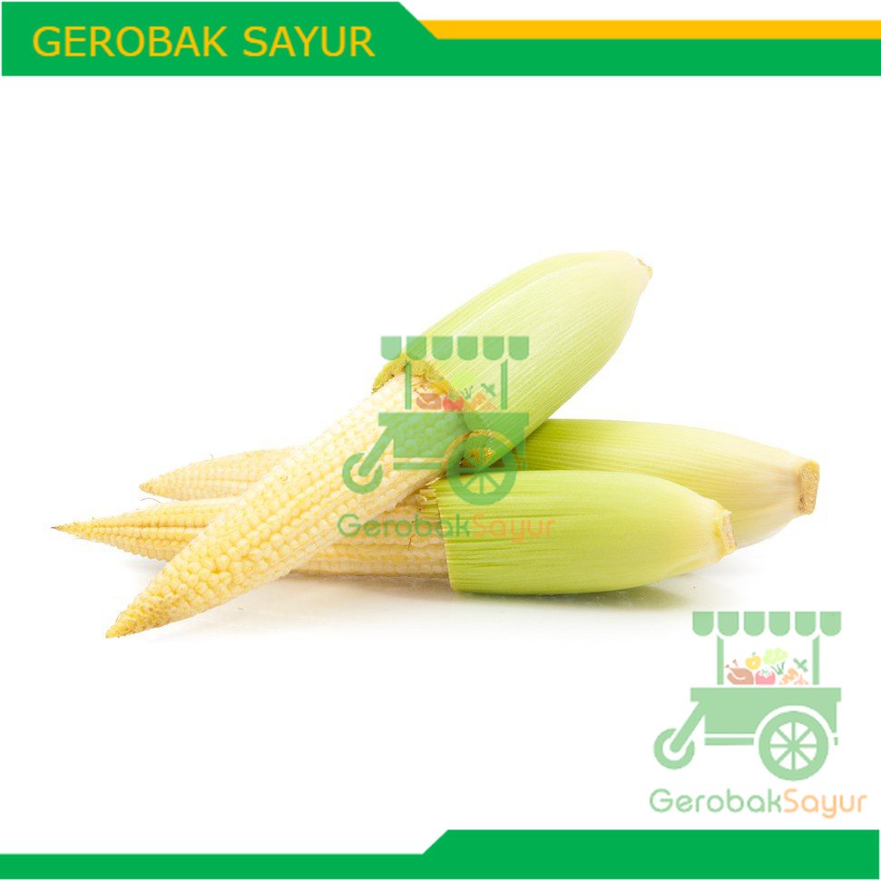 Jual Jagung Putren Mini 450 g | Shopee Indonesia