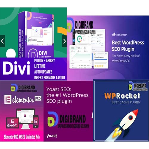 Jual Paket Komplit (Elementor Pro + Yoast SEO + Wp Rocket + divi theme & Divi Builder & elegant ...