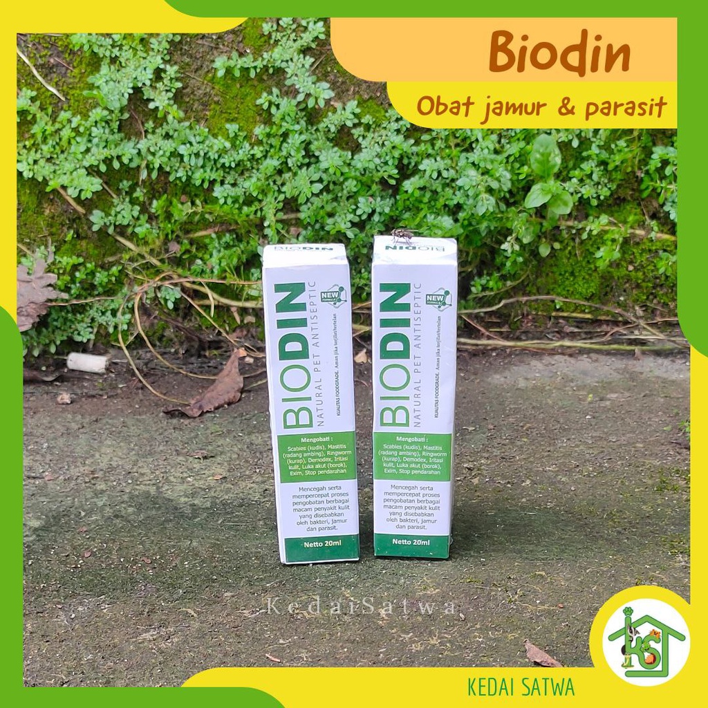 Jual BIODIN SPRAY 20 ML & SALEP - Obat Kucing Anjing Kelinci Anti Jamur ...