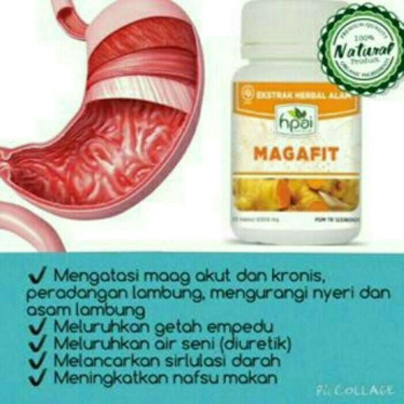 Jual Magafit suplemen pencernaan HNI, Obat Asam Lambunh, obat sakut ...