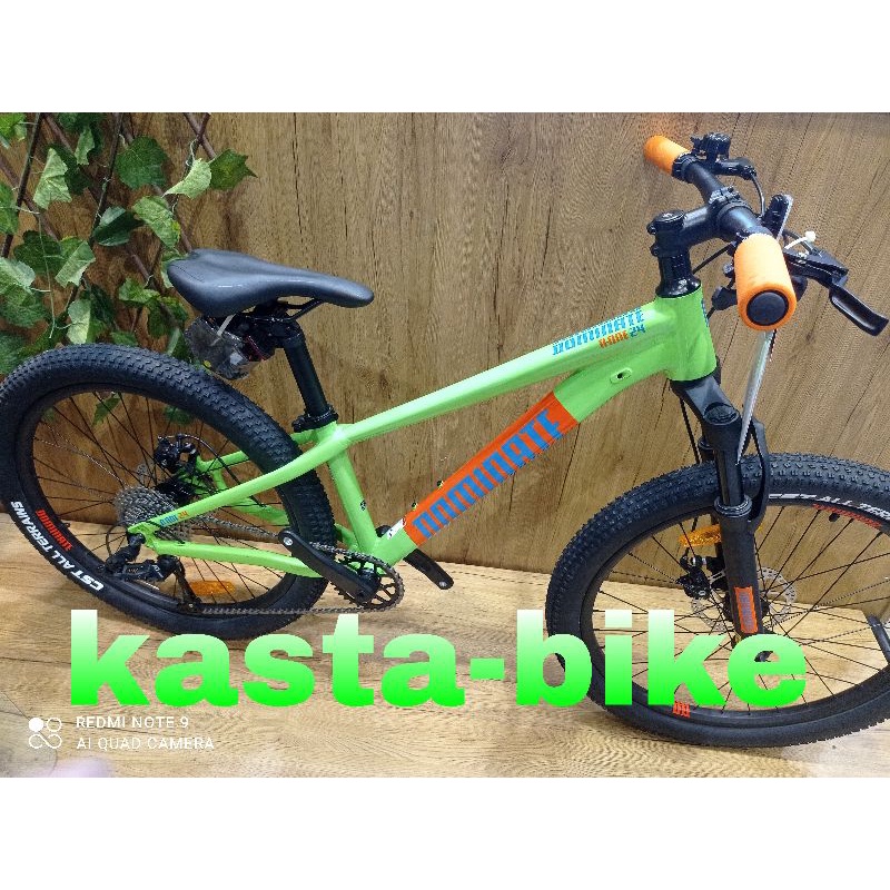 Jual Sepeda DOMINATE A-ONE 24ich | Shopee Indonesia
