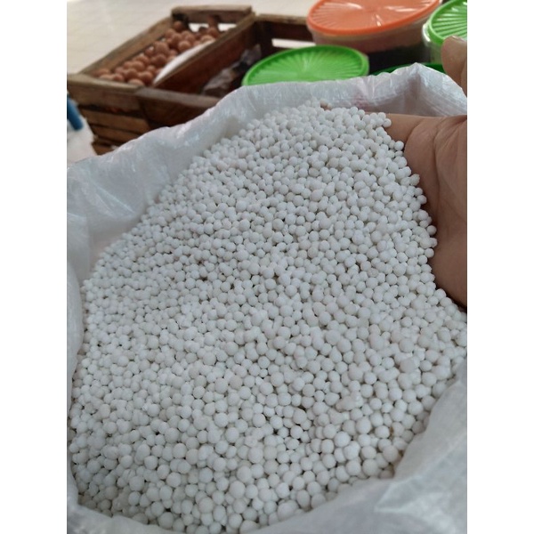Jual Sagu Mutiara Putih /Biji Mutiara Putih 1 Kg | Shopee Indonesia