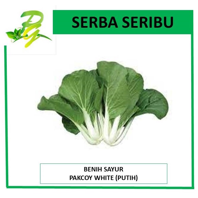 Jual Benih Seribuan Benih Biji Pakcoy White Pakcoy Putih | Shopee Indonesia