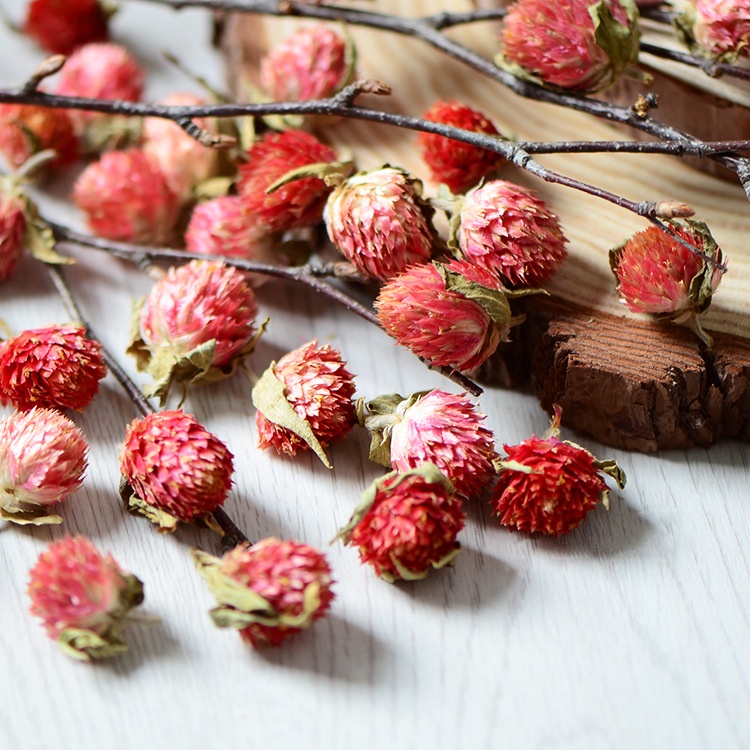 Jual Bunga Globe Amaranth 10 gram Bunga Kering Preserved Bunga Awet ...