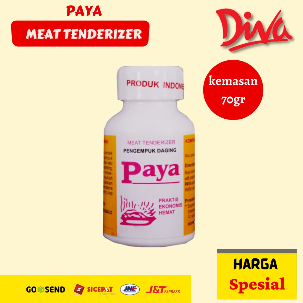 Jual Paya Pengempuk daging 70gr | Meat Tenderizer | Shopee Indonesia