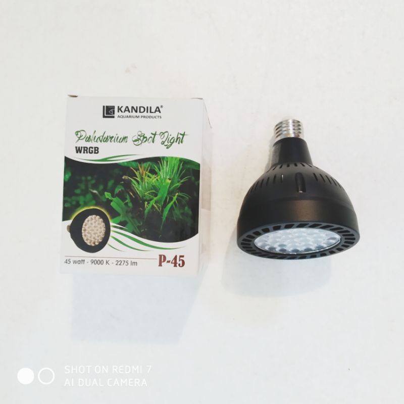 Jual Kandila Spot Light P45 Paludarium | Shopee Indonesia