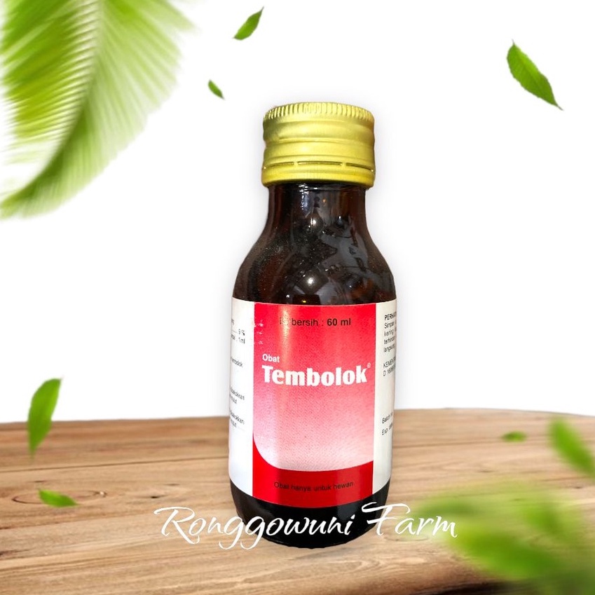 Jual TEMBOLOK- mengobati gangguan tembolok pada unggas 60ML | Shopee ...