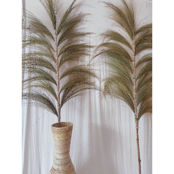 Jual Rayung Natural 1,5m /Rayung Natural / Rayung Rustic / Pampas ...