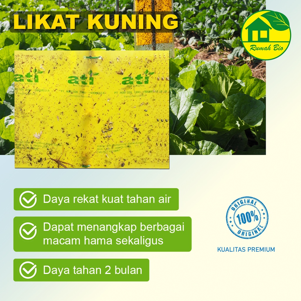 Jual Perangkap Hama Likat Kuning per Lembar 2 Sisi Rekat | Shopee Indonesia