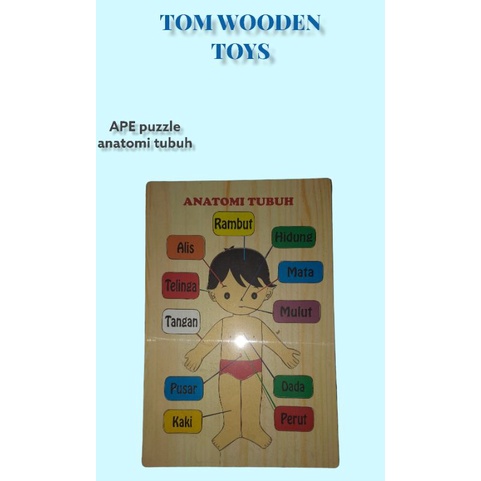 Jual puzzle anatomi tubuh manusia mainan edukatif | Shopee Indonesia