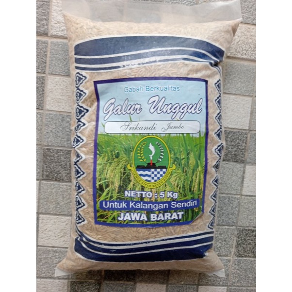 Jual BENIH PADI SRIKANDI JUMBO BIBIT PADI UNGGUL KEMASAN 5 KG | Shopee ...