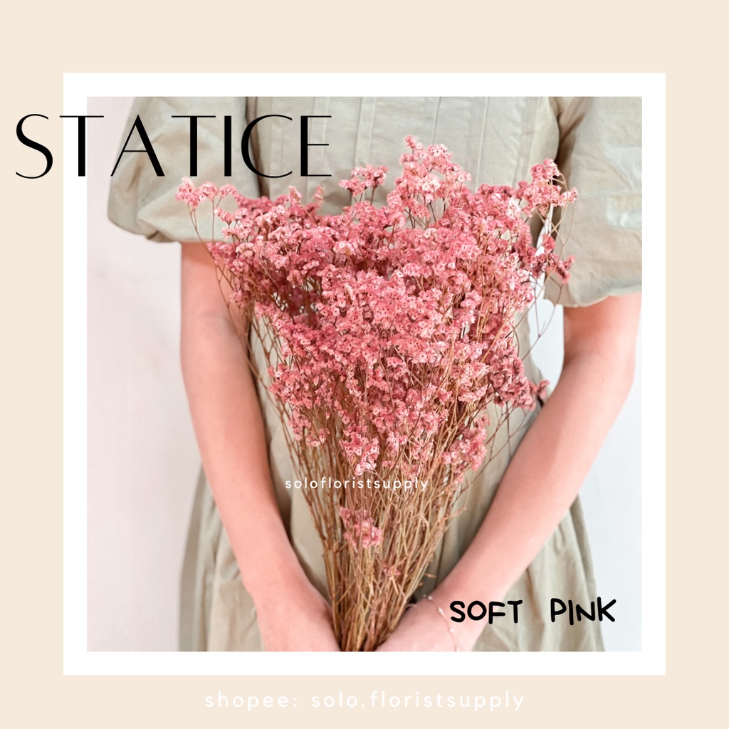 Jual [TR] 1 Ikat Preserved Statice Dried Flower Bunga Kering statis ...