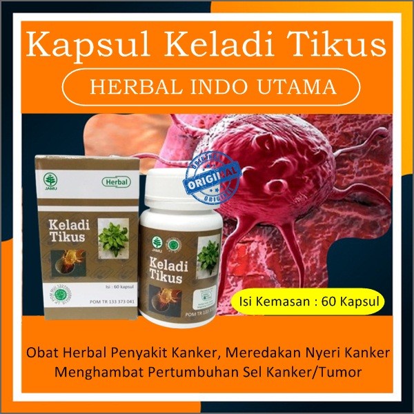 Jual Obat herbal Penyakit KANGKER Menghambat pertumbuhan penyakit ...