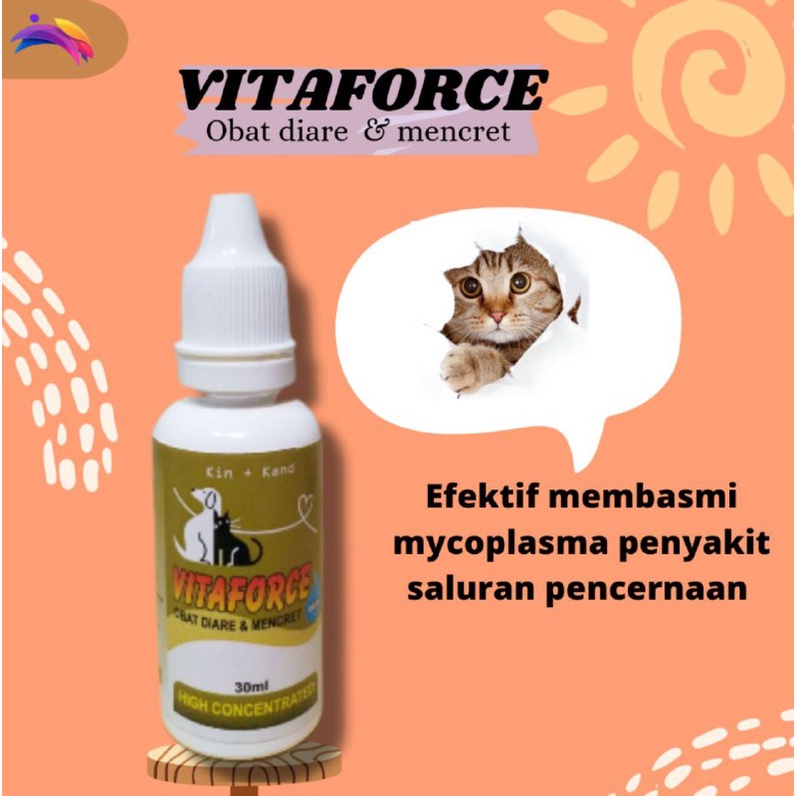 Jual Obat Diare & Mencret Kucing Anjing ( Hewan peliharaan ) | Shopee ...