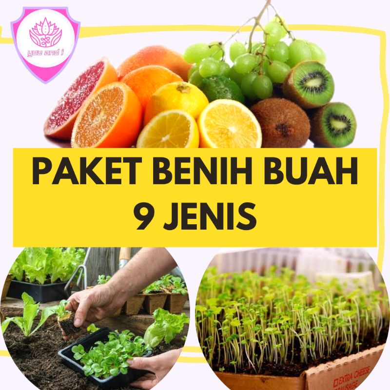 Jual PAKET BENIH BUAH 9 Jenis Benih - Berkebun Murah | Shopee Indonesia