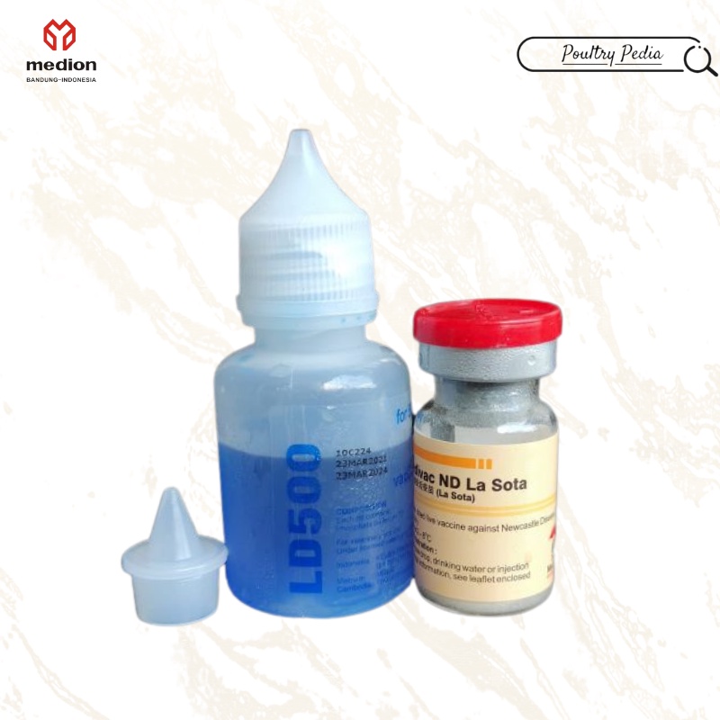 Jual Vaksin Medivac ND Lasota Dosis 500 Ekor - vaksin ND lasota /tetelo ...