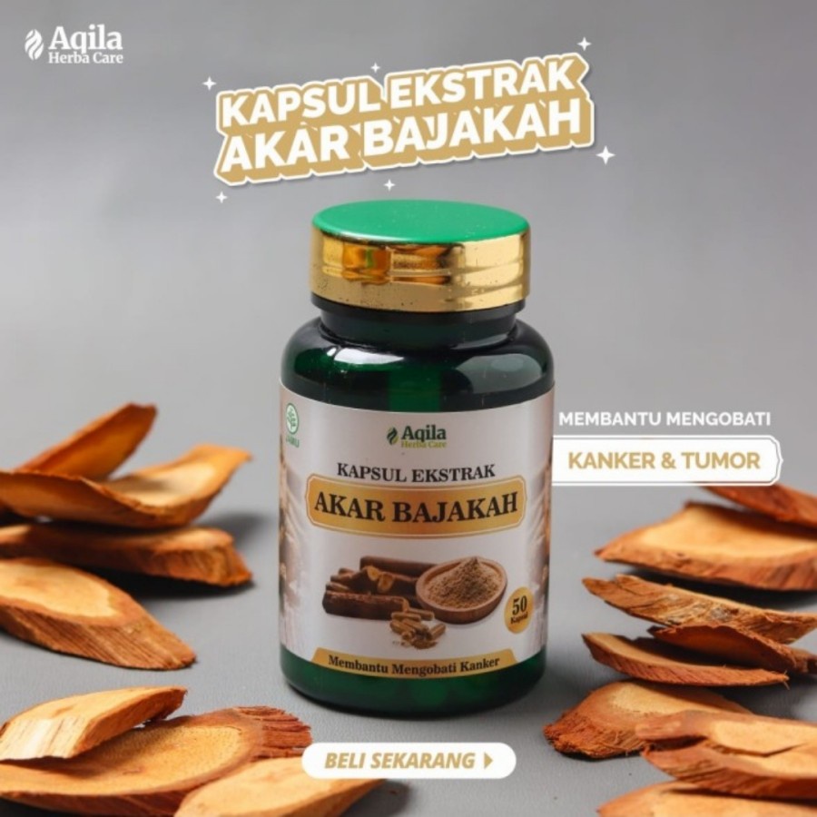 Jual KAPSUL EKSTRAK AKAR BAJAKAH PREMIUM ASLI KALIMANTAN AQILA HERBAL ...