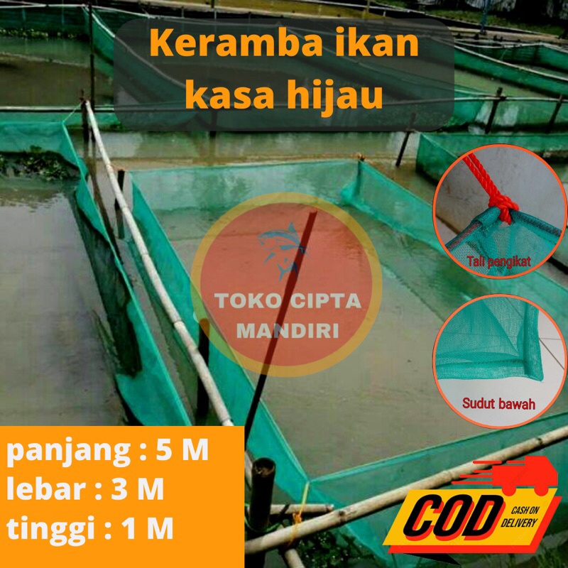 Jual keramba ikan kecil hapa ikan kasa hijau 5x3x1 | Shopee Indonesia Jual keramba ikan kecil hapa ikan kasa hijau 5x3x1 | Shopee Indonesia