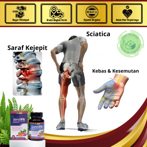 Jual Obat Nyeri Otot Paha, Sakit Betis, Otot Ketarik, Cedera Hamstring ...