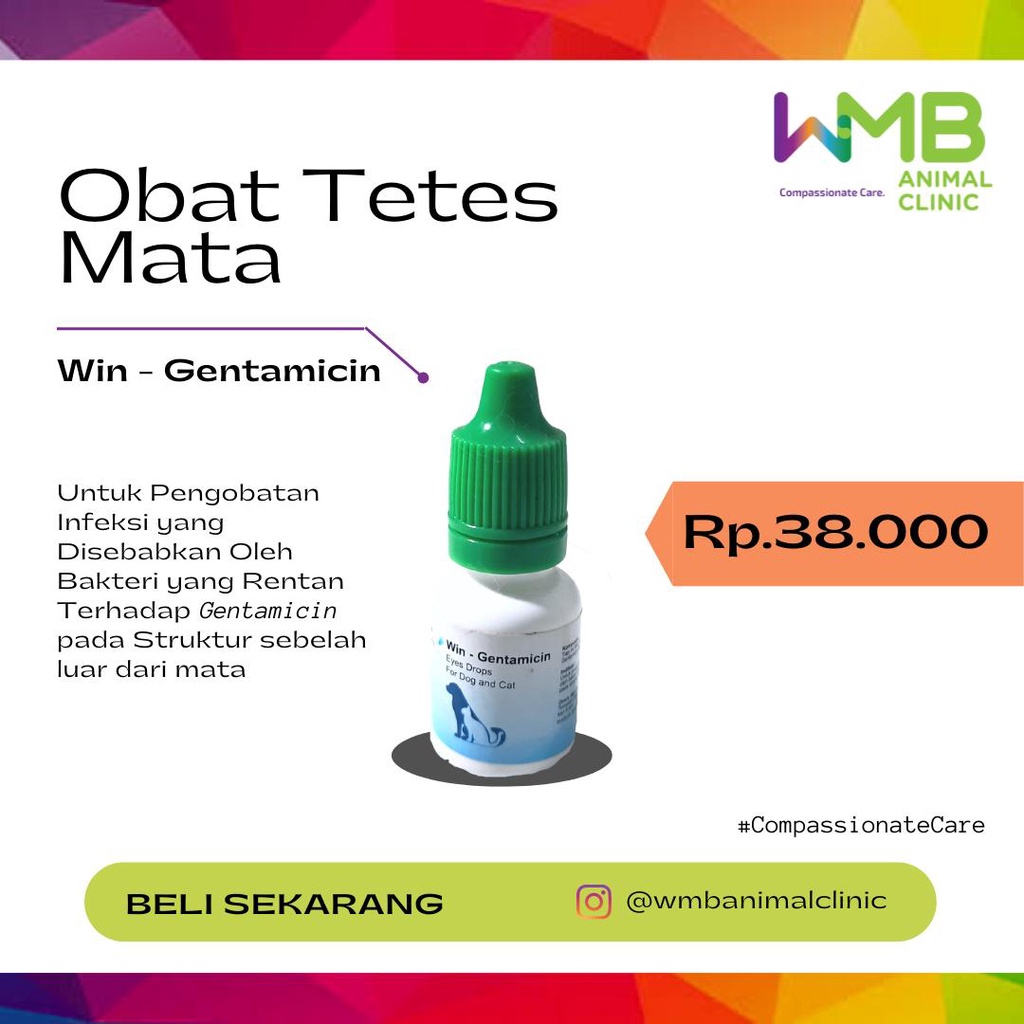 Jual Win Gentamicin (Obat Tetes Mata) | Shopee Indonesia