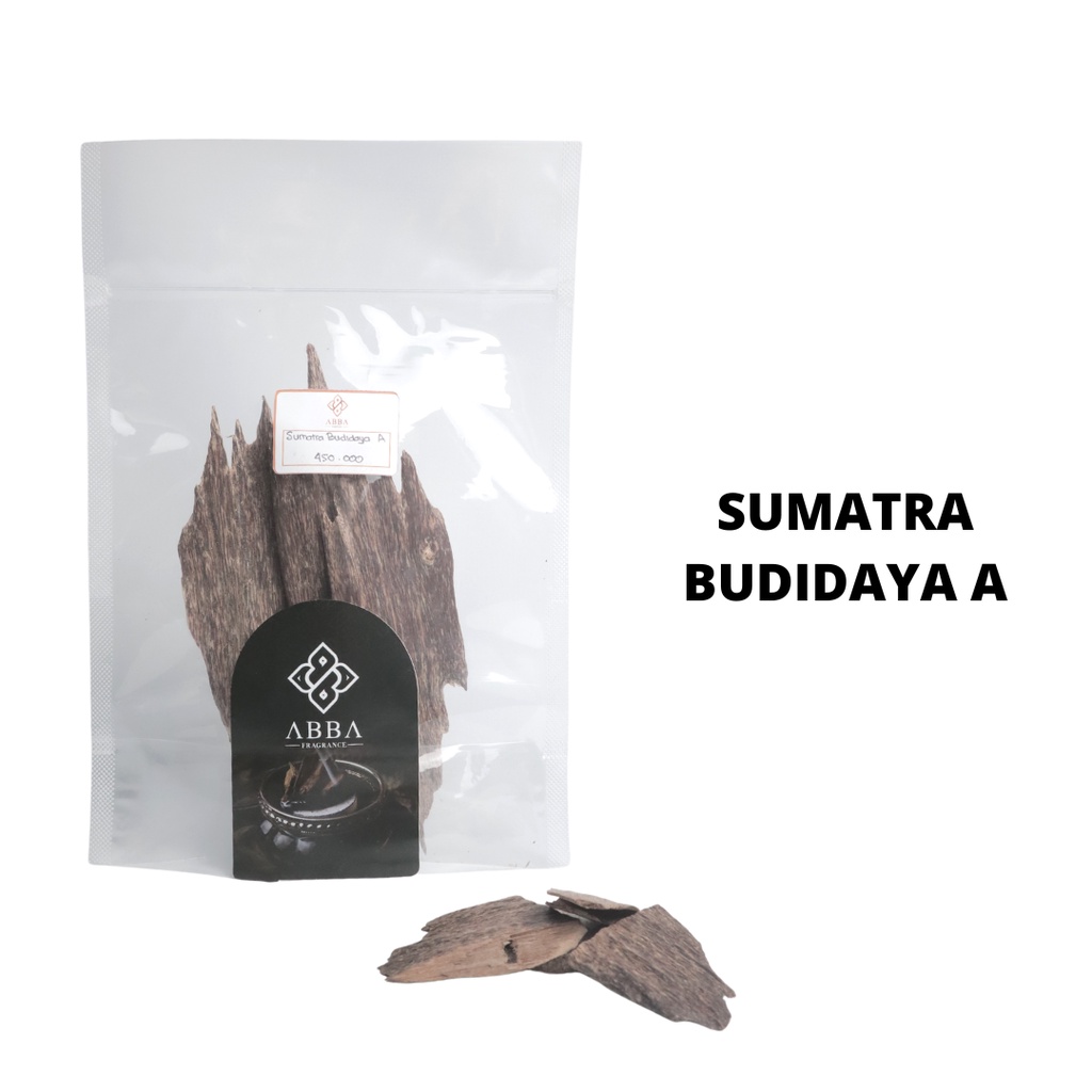 Jual ABBA Bukhur Kayu Gaharu Sumatra Budidaya A | Shopee Indonesia