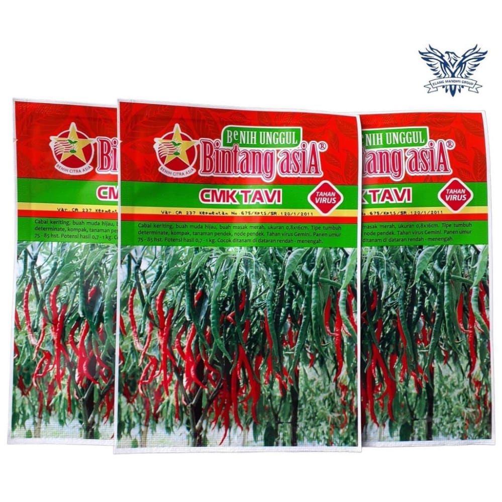 Jual Benih Bibit Cabai Keriting Cmk Tavi 10gr Bintang Asia | Shopee ...