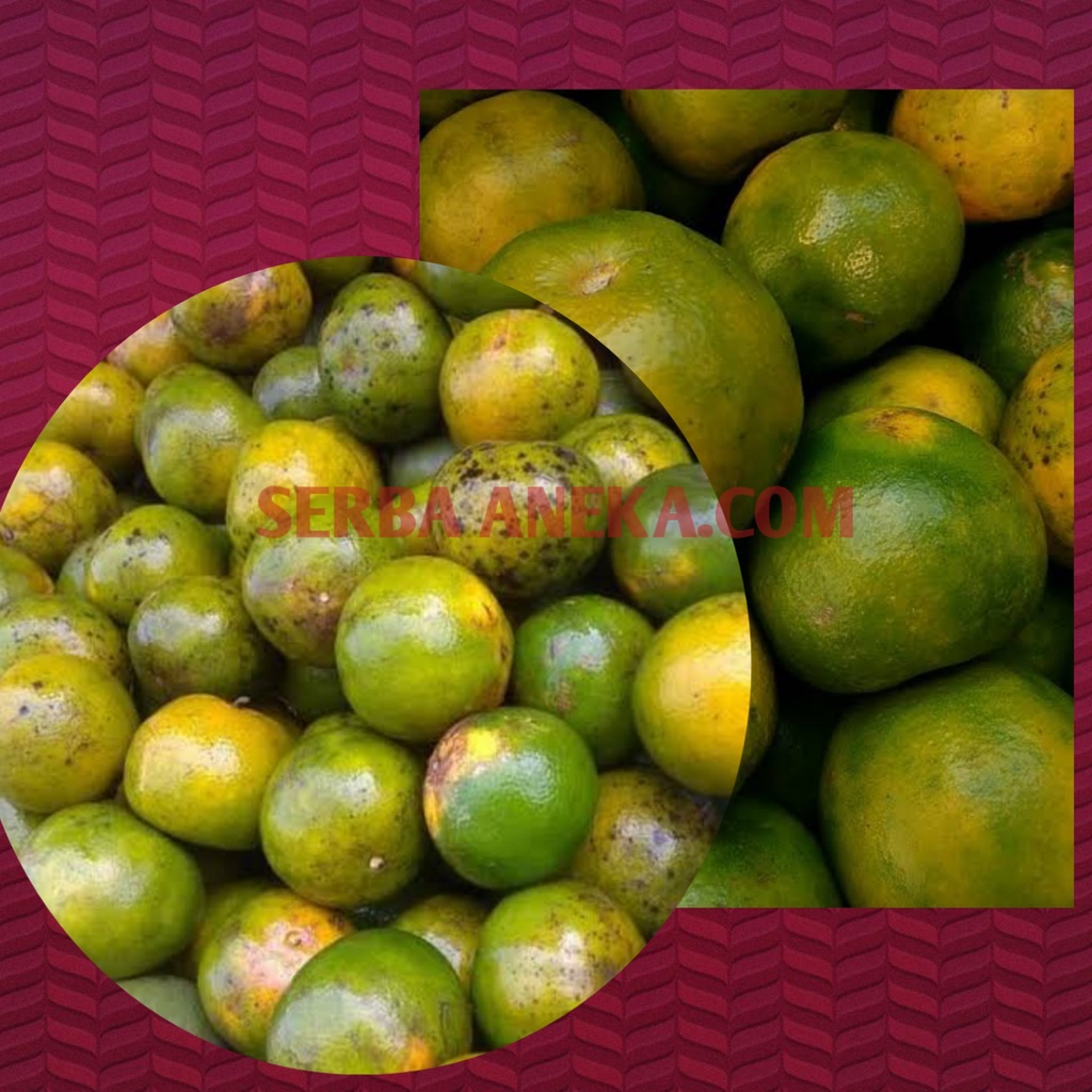 Jual ( 1 Kg ) Jeruk King bali hijau semu kuning segar manis | Shopee ...