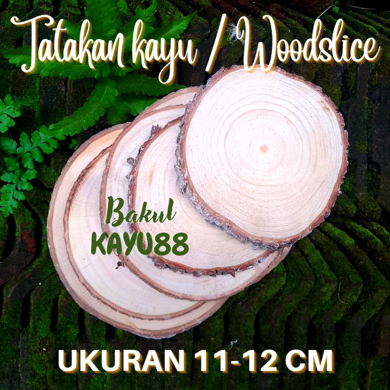 Jual TERMURAH Wood Slice ukuran 11-12 cm tatakan kayu potongan kayu ...
