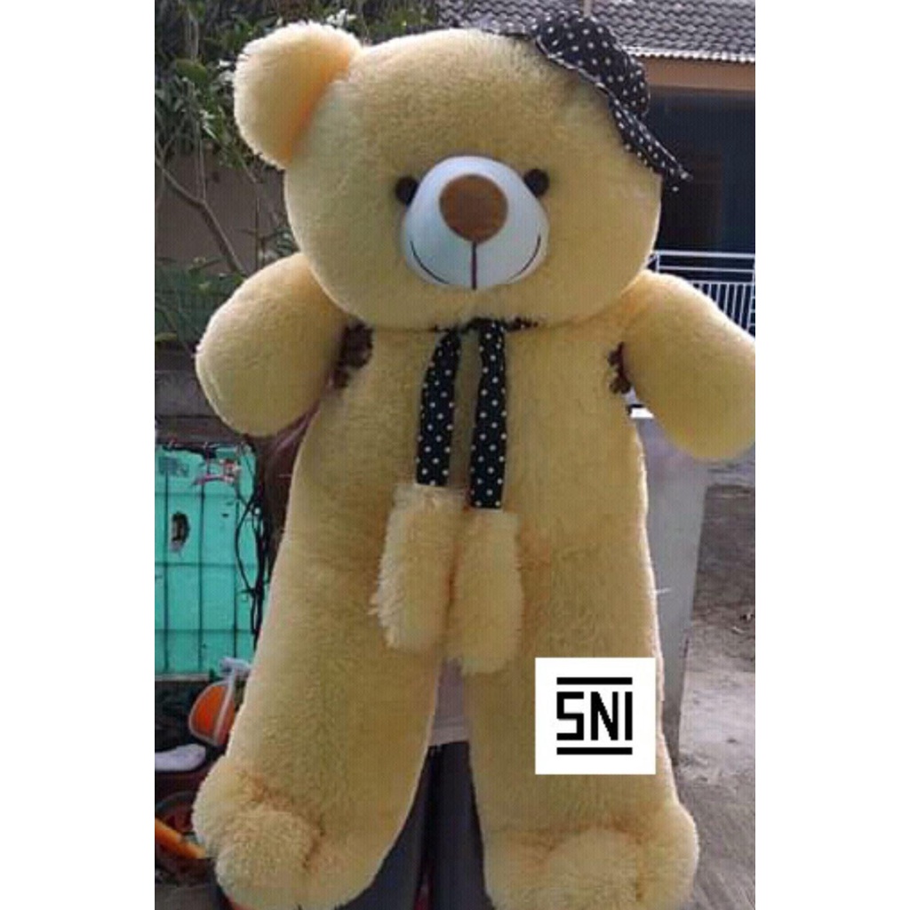 Jual Boneka Teddy Bear Syal Tapak 1,2 meter / 120cm SUPER JUMBO ...