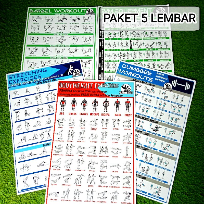 Jual POSTER PANDUAN GERAKAN GYM | Shopee Indonesia