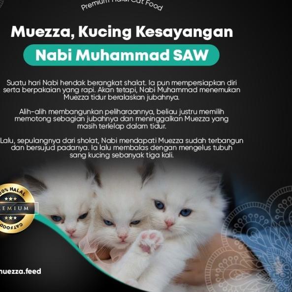 Jual Makanan Kucing Kering - Ocean Fish Flavor - Muezza Cat Food ...