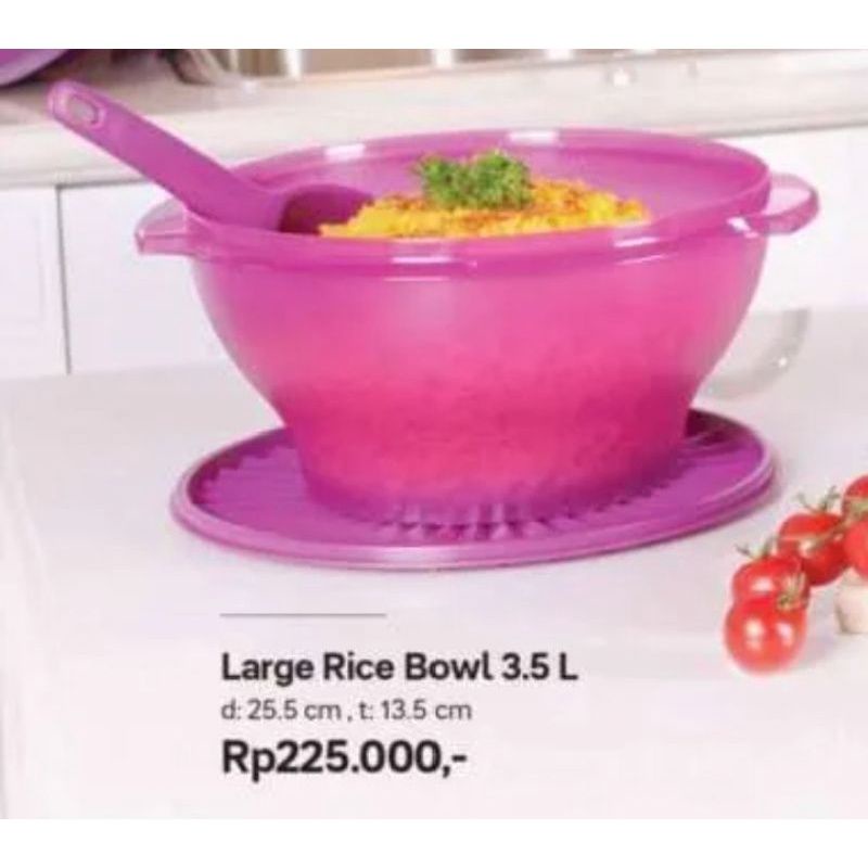 Jual Tupperware Large Rice Bowl | Shopee Indonesia