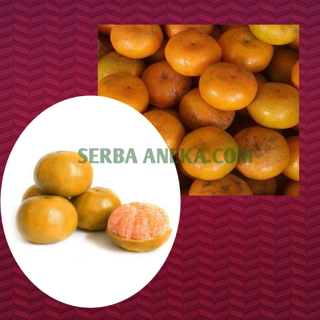 Jual Jeruk Brastagi jeruk medan Manis ( Per 1000 gram) | Shopee Indonesia