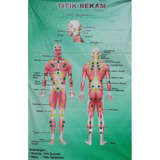 Jual Poster Titik Bekam 80x120 cm ( hak cipta dilarang download ...