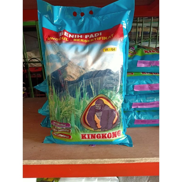 Jual Benih Padi IR 64 Kingkong 5 Kg | Shopee Indonesia