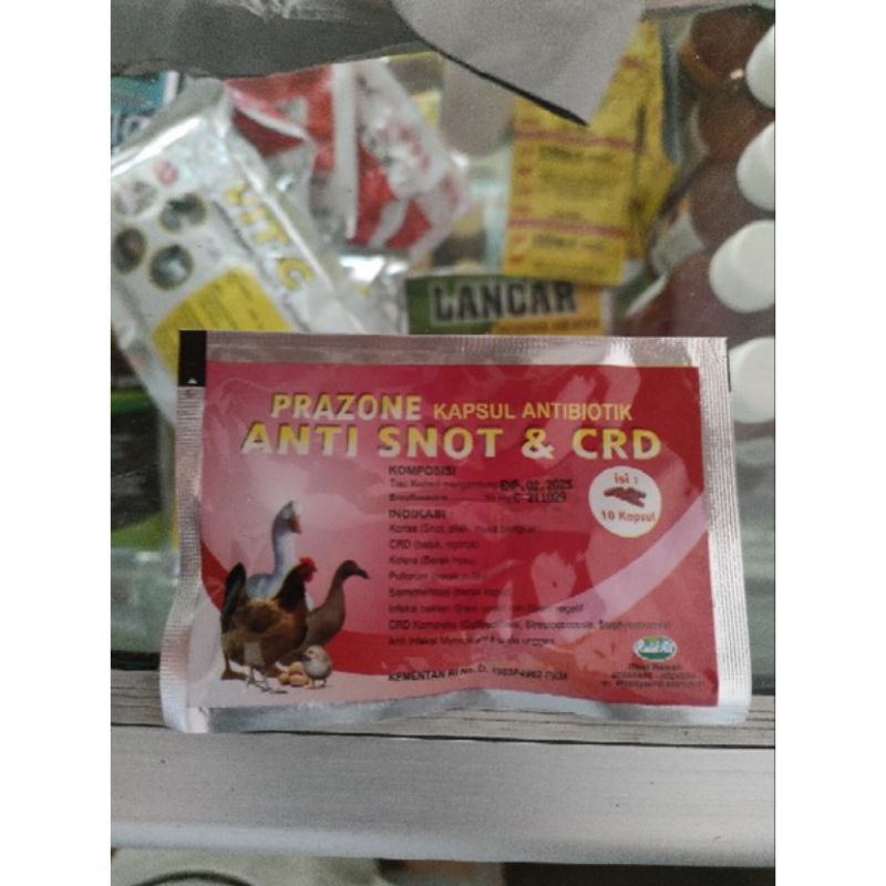 Jual Prazone Anti Snot & CRD Obat Antibiotik Ayam Unggas Bebek Mentok ...