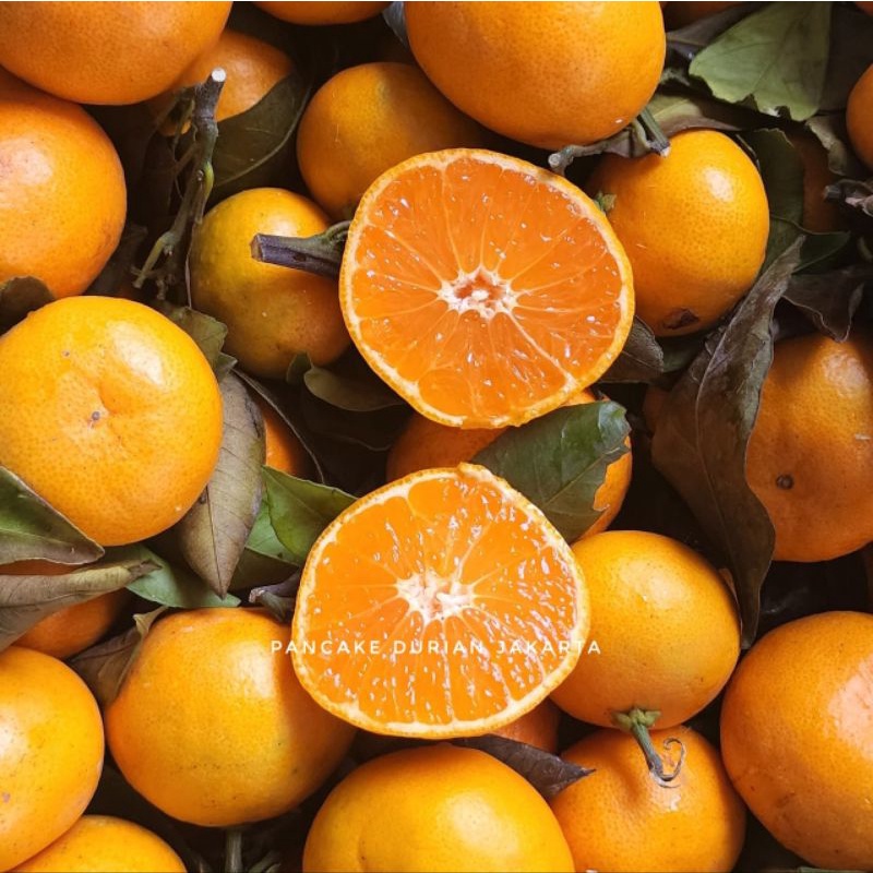 Jual Jeruk Shantang Polos 1kg | Shopee Indonesia