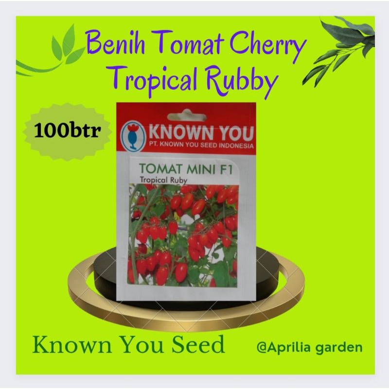 Jual Benih Tomat Chery Tomat Mini Tropical Rubby 100biji Original Known ...
