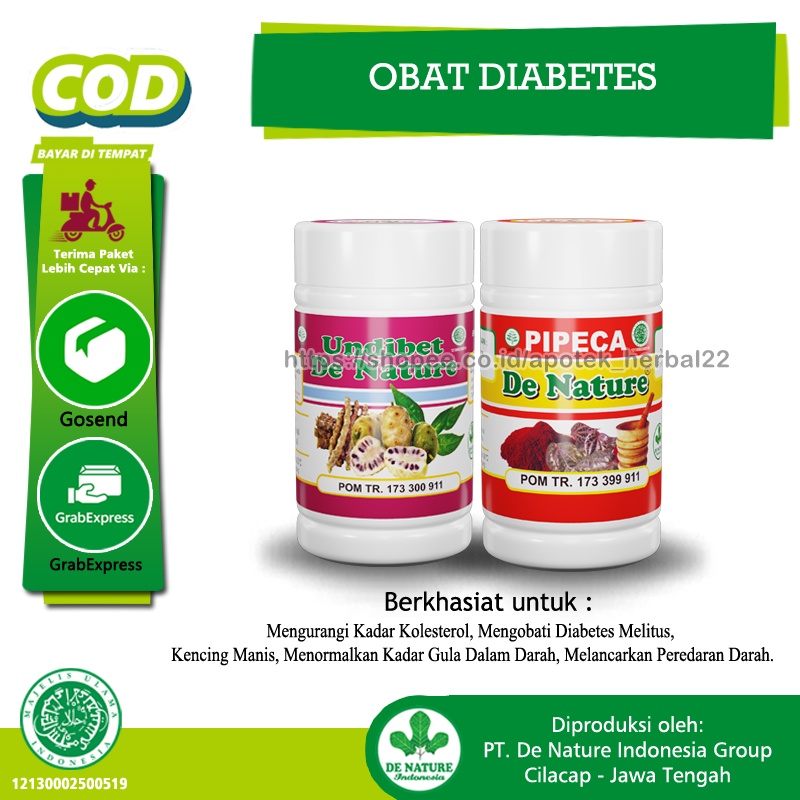 Jual OBAT DIABETES GULA DARAH TINGGI GULA BASAH GULA KERING KENCING ...