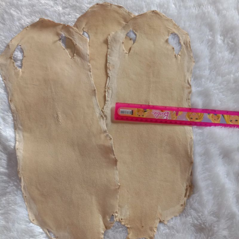 Jual KULIT IKAN PARI SOFT LEMBARAN UNTUK KERAJINAN ukuran 5 inchi ...