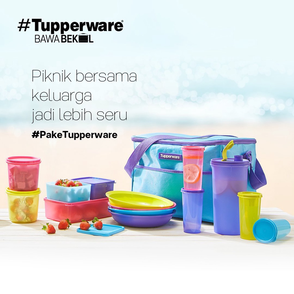 Jual Family Day Out Set / Paket Tempat Makan Tupperware Original ...