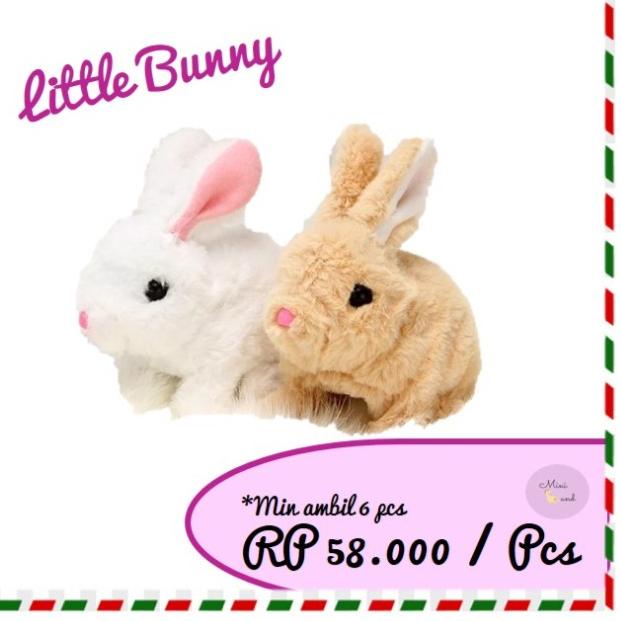 Jual Mainan Boneka Kelinci Bisa Bergerak & Bersuara / Little Bunny ...