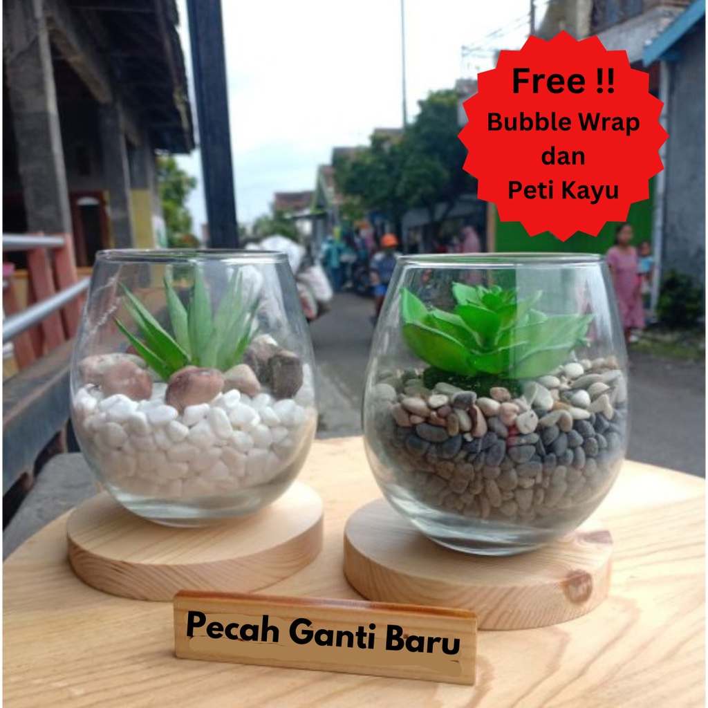 Jual Vas Bunga Kaca + tatakan kayu Minimalis / Pot Tanaman Air ...