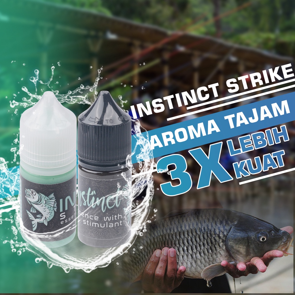 Jual Instinct Strike Essen Ikan Mas Galatama Lomba & Harian Kilo Gebrus | Shopee Indonesia