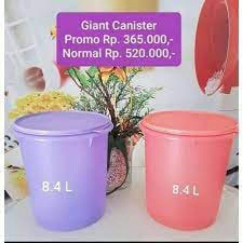 Jual TOPLES BESAR/TOPLES KERUPUK/ TEMPAT CAMILAN BY Tupperware | Shopee ...