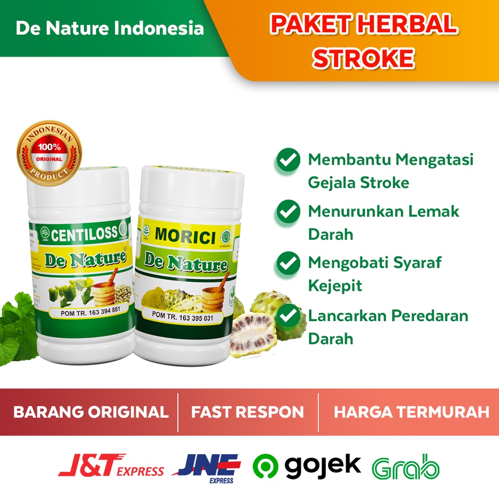 Jual Obat Syaraf Kejepit, Stroke Ringan, Struke Berat, Parkinson ...