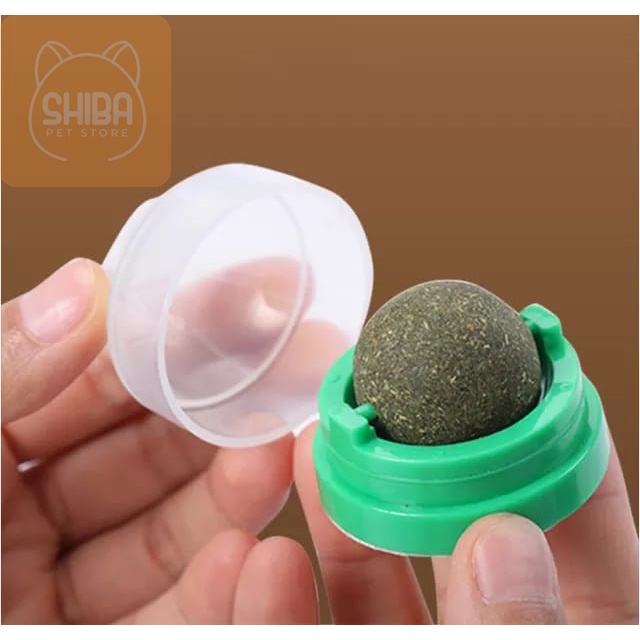 Jual Cat Nip Catnip Catmint Mint Ball Bola Mainan Cemilan Permen Kesehatan Toy Kucing Cat Kitten ...