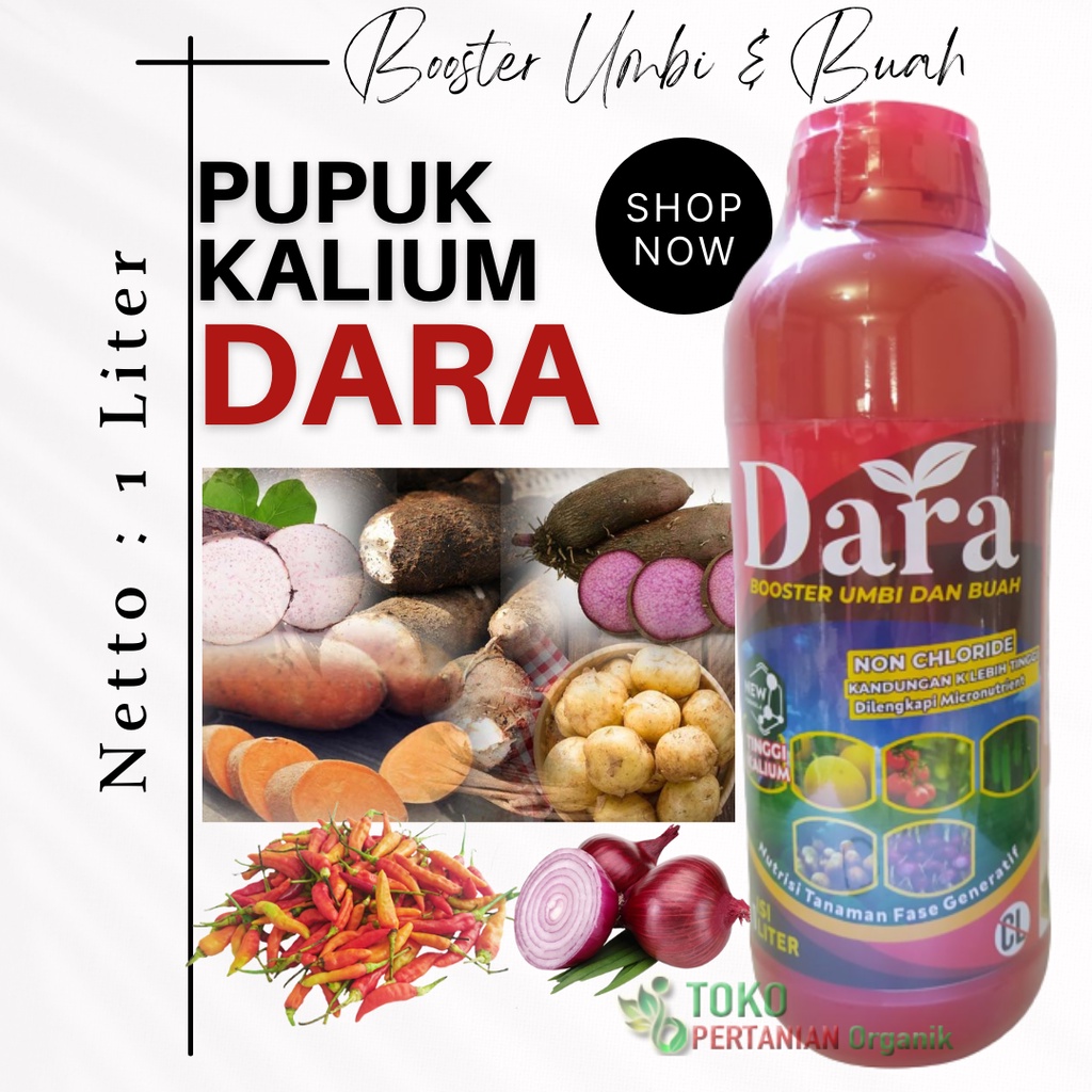 Jual Pupuk DARA Nutrisi tanaman sayur dan buah terbaik, Booster tinggi ...